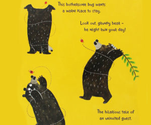 Top 3 Children’s Books about Bears - PositiveLeePeilin